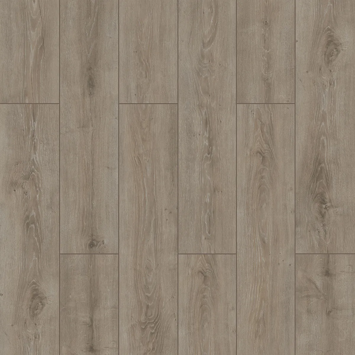 Fawn Oak 8mm AC5 | Floor Depot