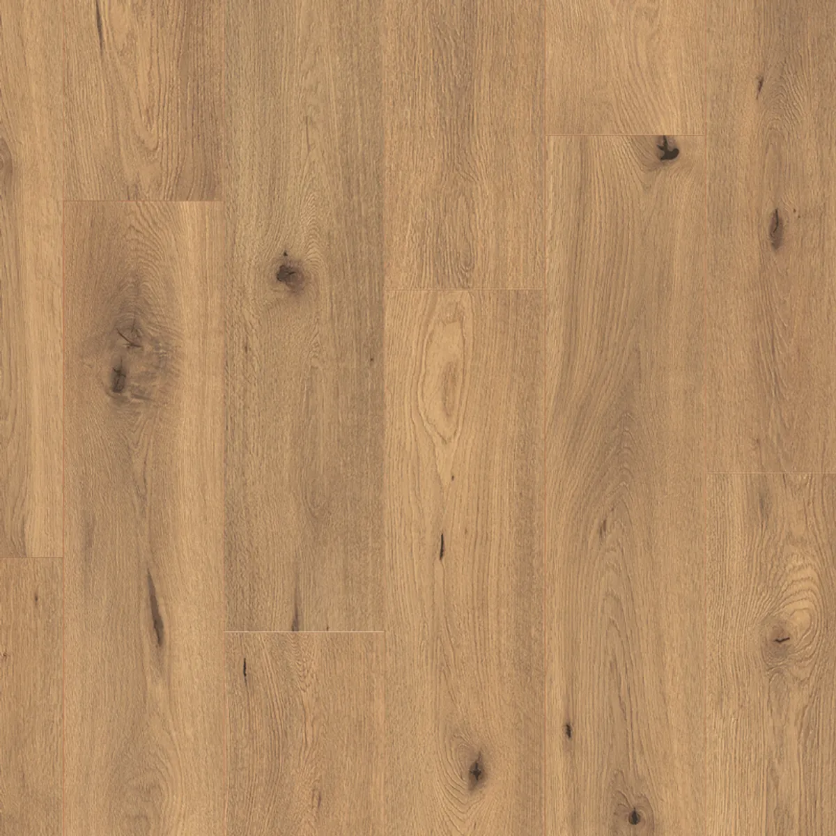Winter Oak 7mm | Floor Depot